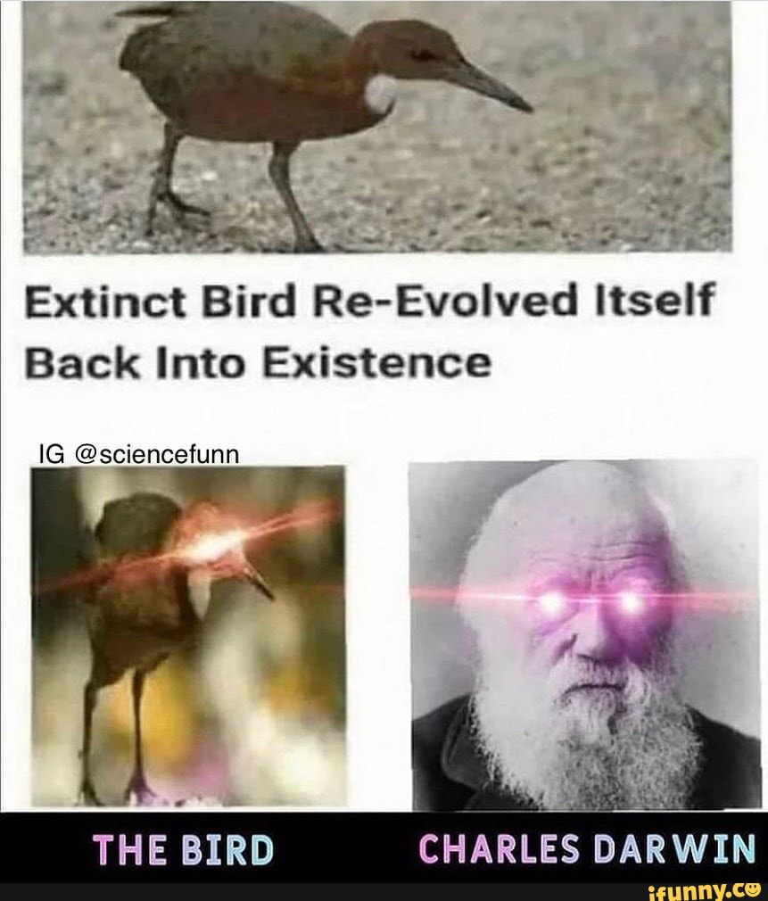 The boys on our way to court when our groupchat gets leaked - )