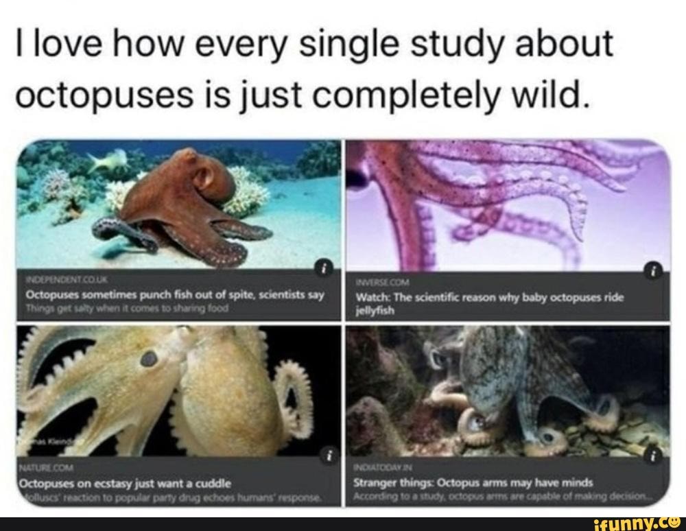 Saturday meme dump! - love how every single study about octopuses is ...