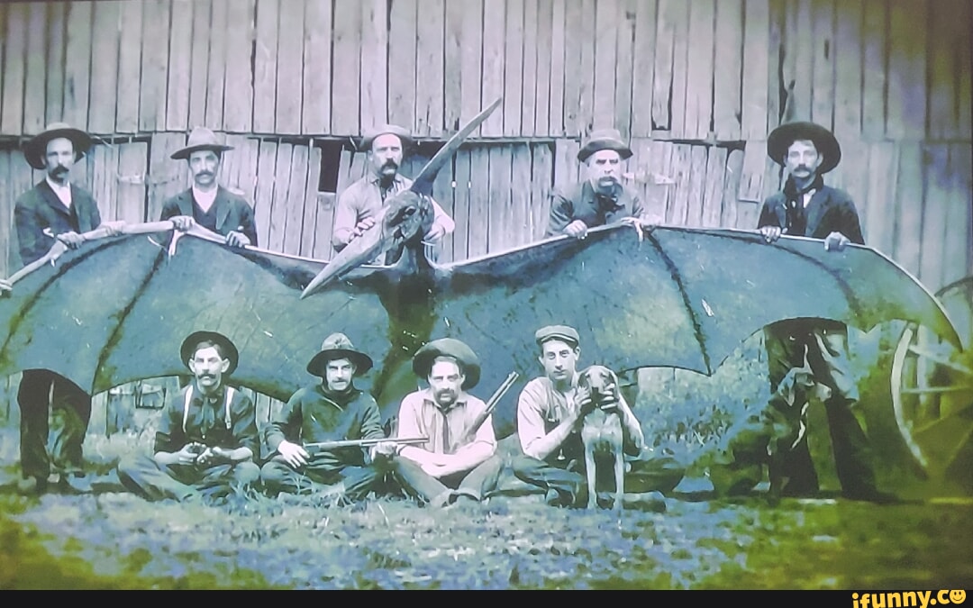 Cowboys memes. Best Collection of funny Cowboys pictures on iFunny