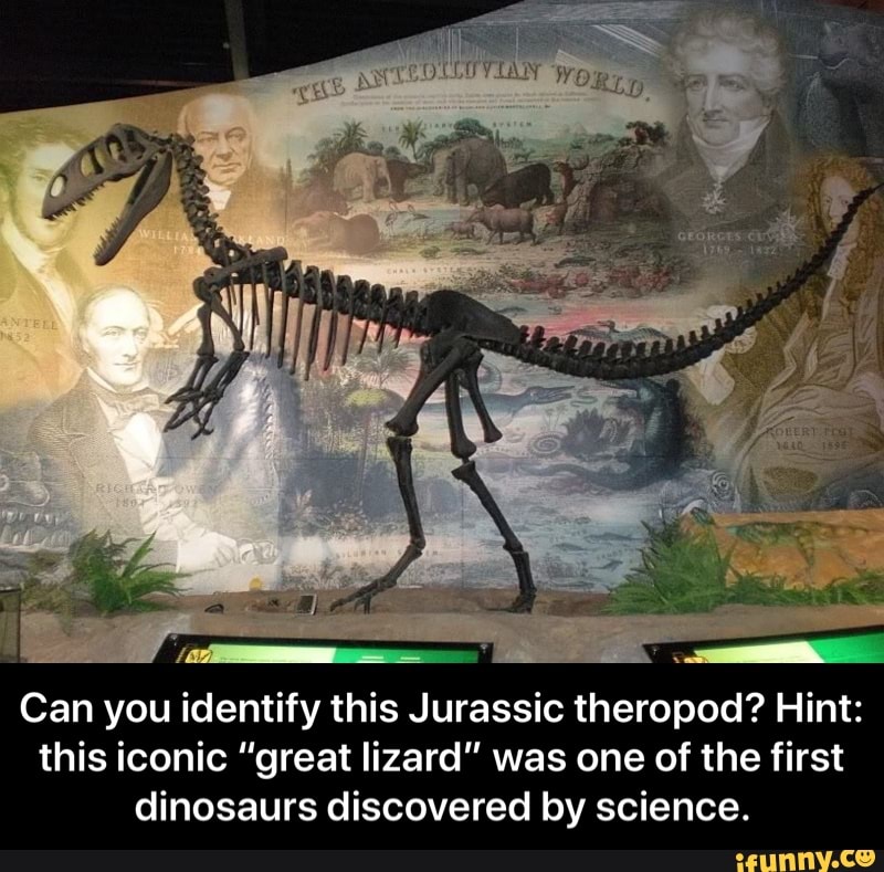 Can you identify this Jurassic theropod? Hint: this iconic "great ...