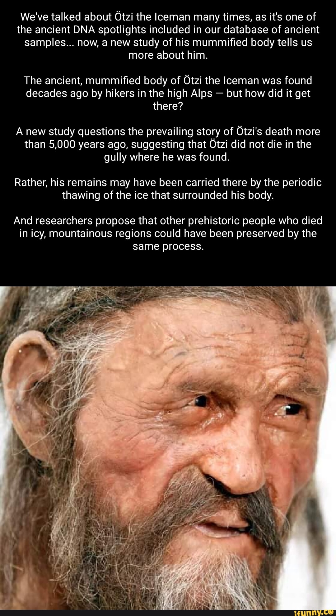 Otzi memes. Best Collection of funny Otzi pictures on iFunny