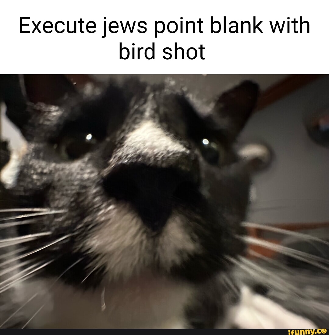 Execute memes. Best Collection of funny Execute pictures on iFunny