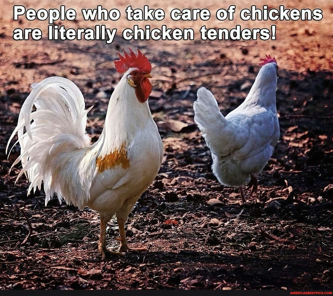 People who take care of chickens are literally chicken tenders ...