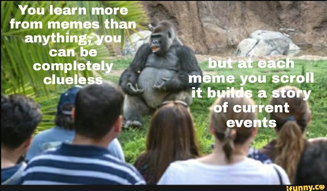 You learn more from memes than anything; you can be completely but at ...