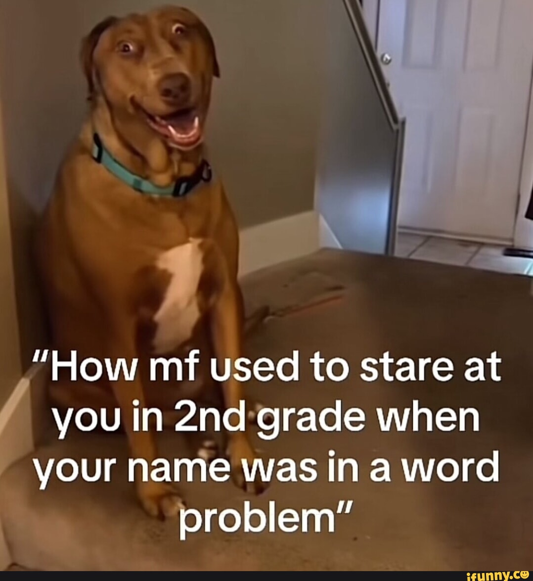 Stare memes. Best Collection of funny Stare pictures on iFunny