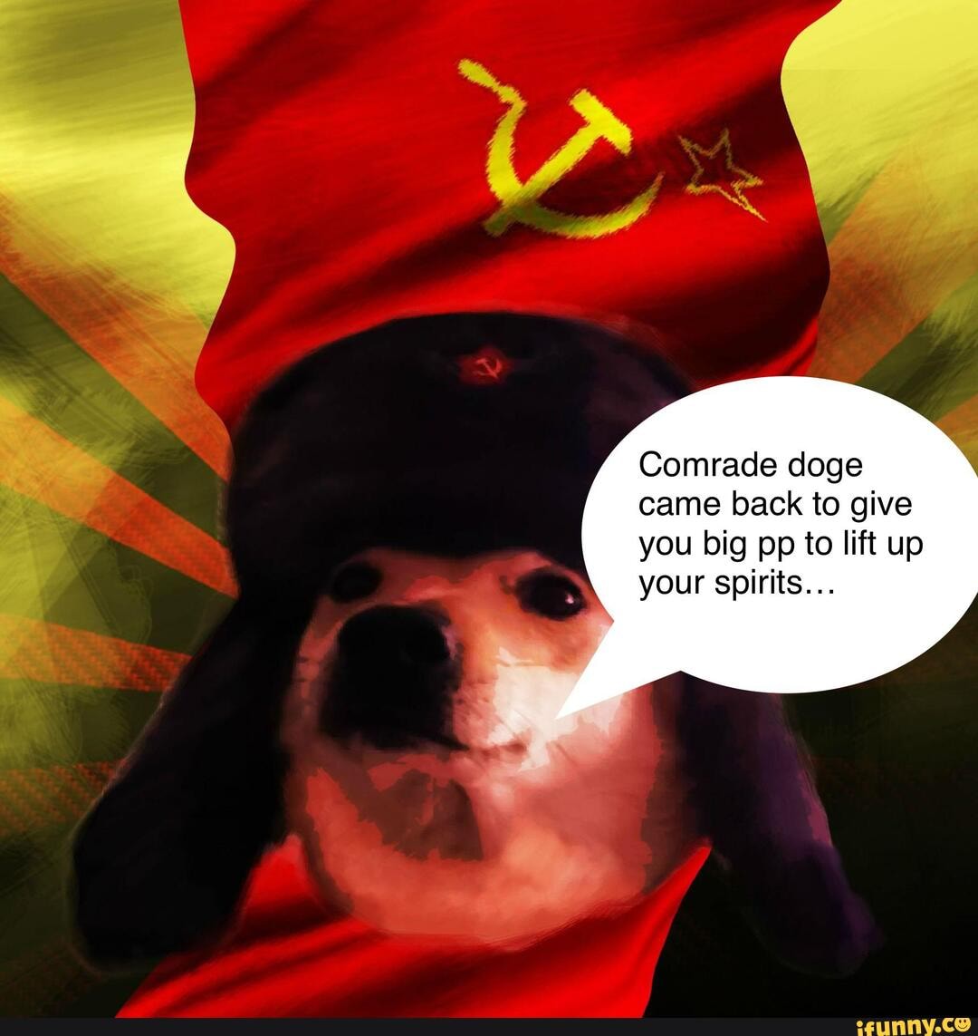 Comrade doge came back to give you big pp to lift up your spirits ...