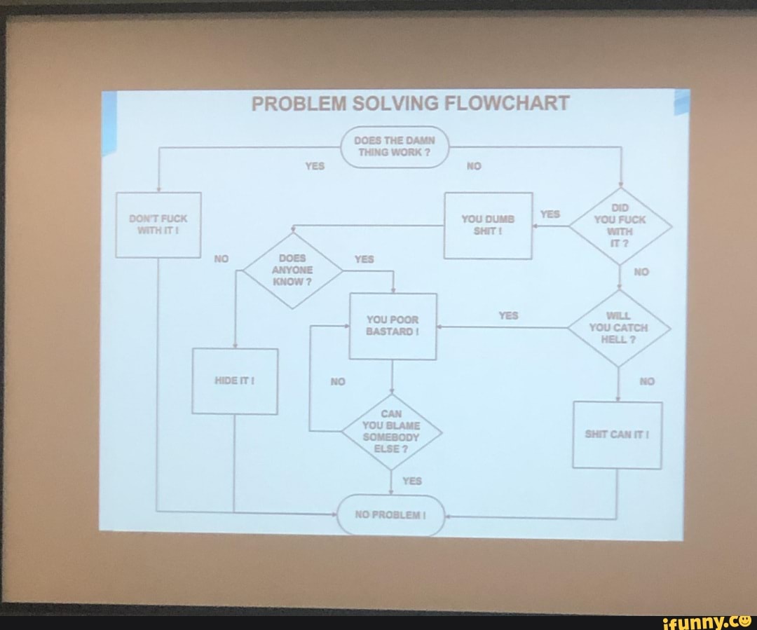 PROBLEM SOLVING FLOWCHART DOES THE DAMN CAN - iFunny