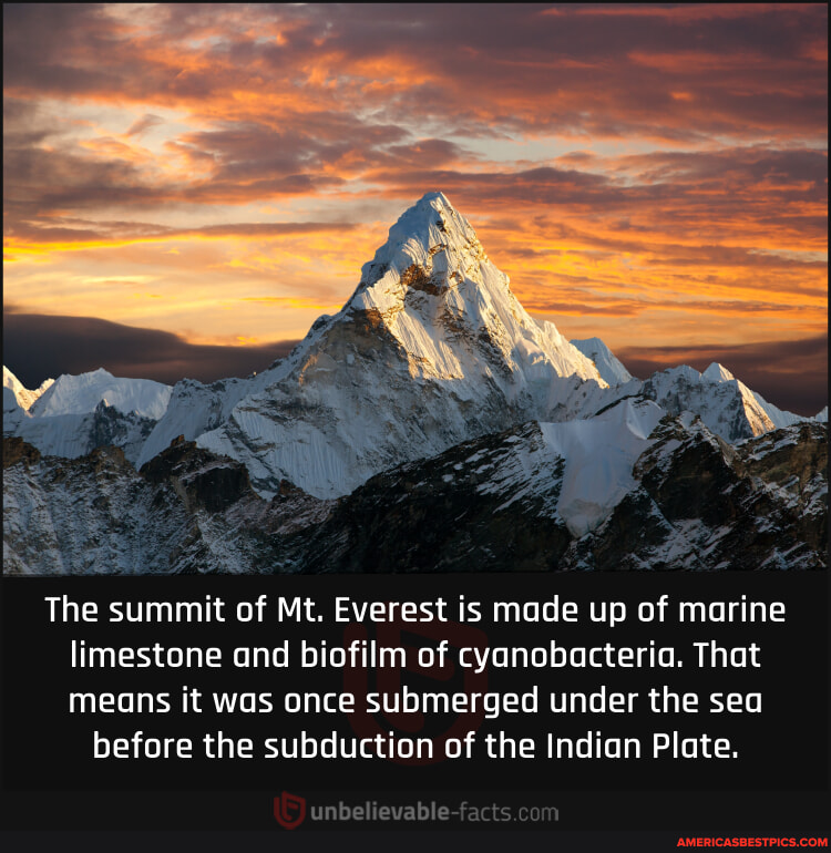 N/A - The summit of Mt. Everest is made up of marine limestone and ...