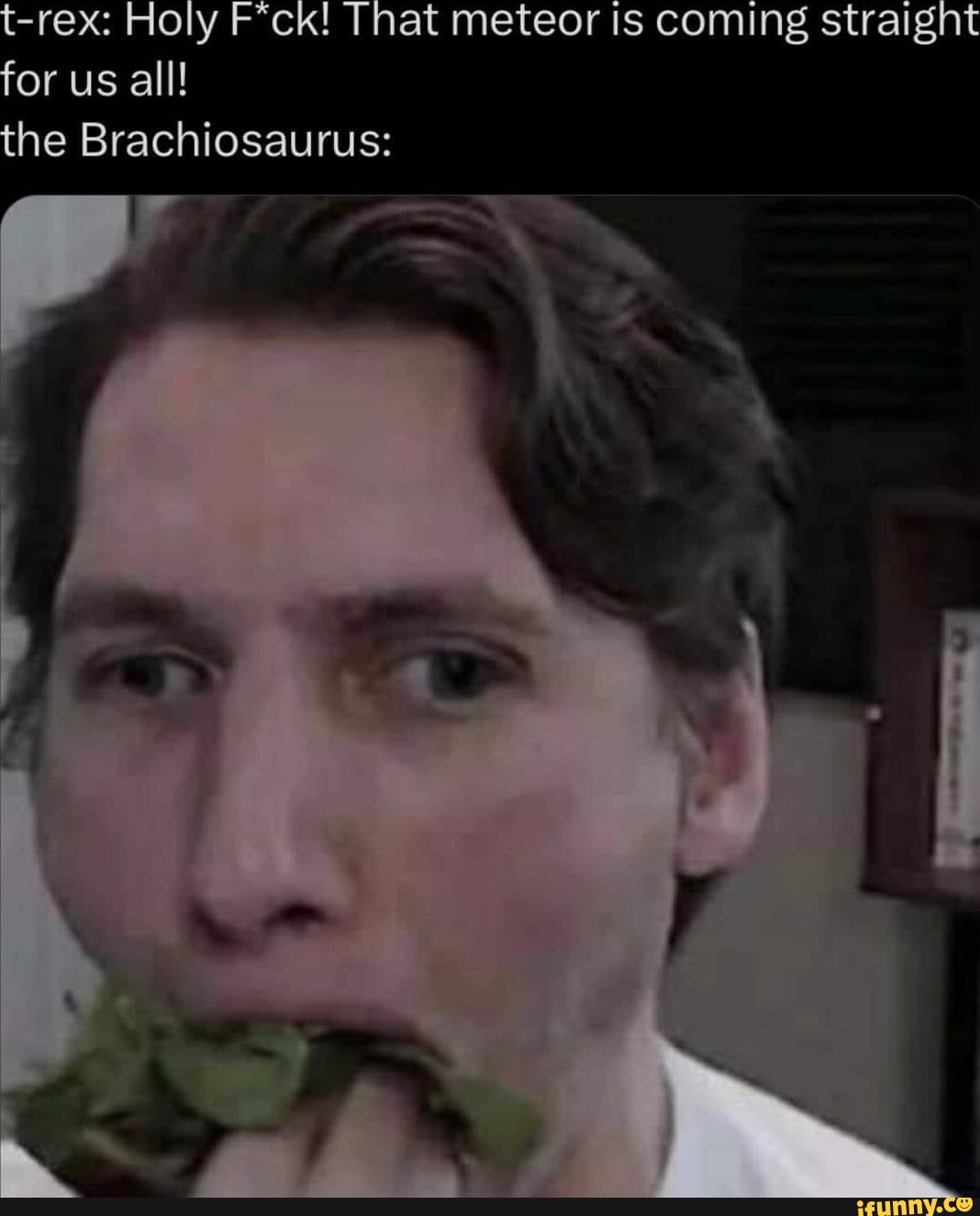 T-rex: Holy F*ck! That meteor is coming straight for us all! the ...