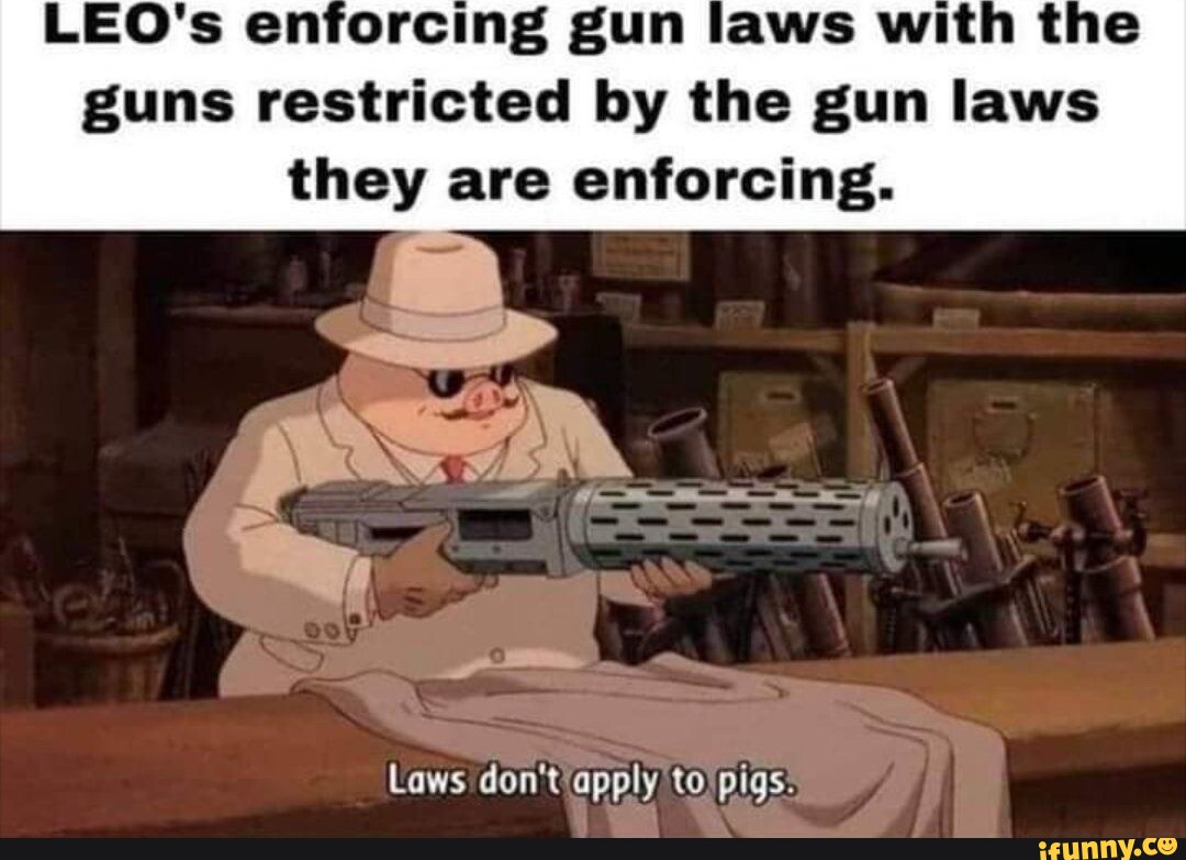 LEO's enforcing gun laws with the guns restricted by the gun laws they ...