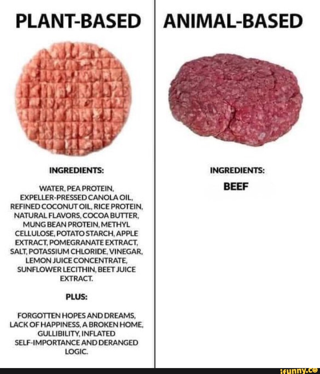 PLAN I ANIMAL-BASED INGREDIENTS: INGREDIENTS: WATER, PEA PROTEIN, BEEF ...