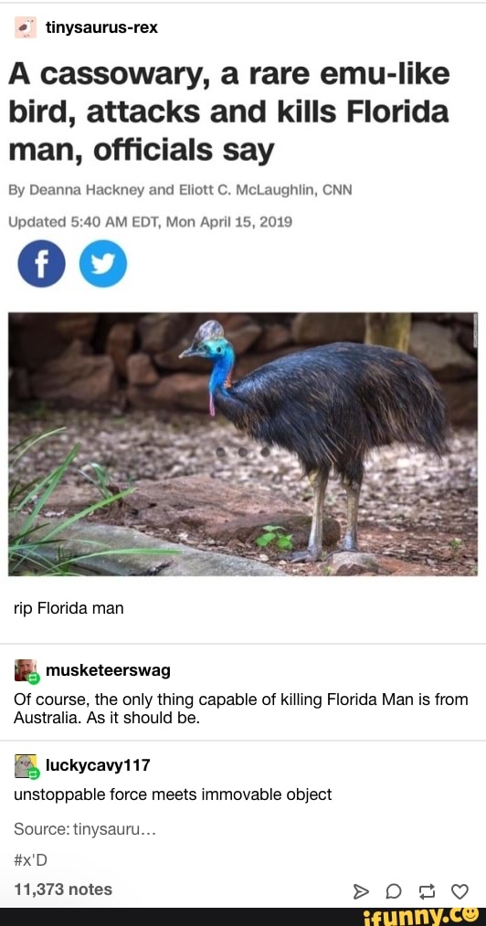 A cassowary, a rare emu-like bird, attacks and kills Florida man ...