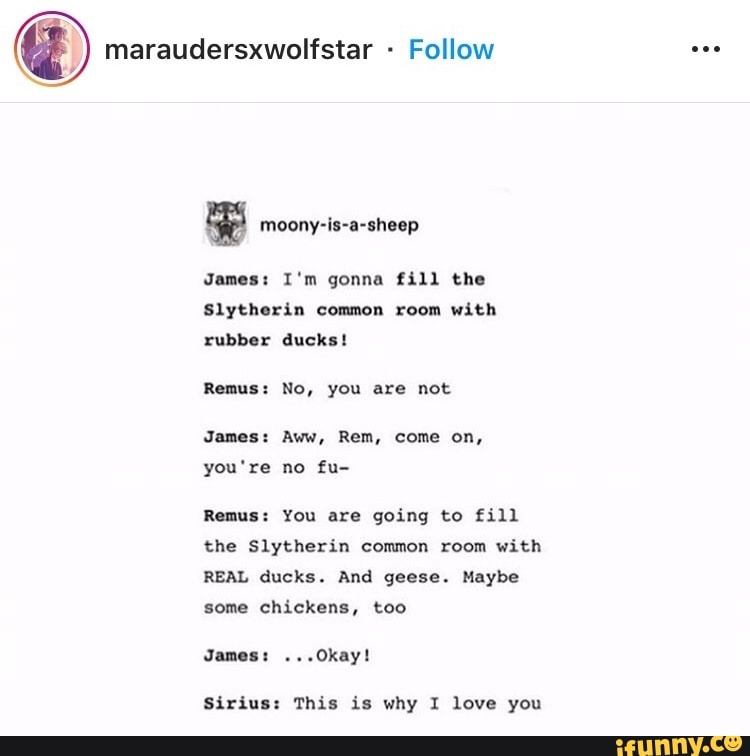 Wolfstar memes. Best Collection of funny Wolfstar pictures on iFunny