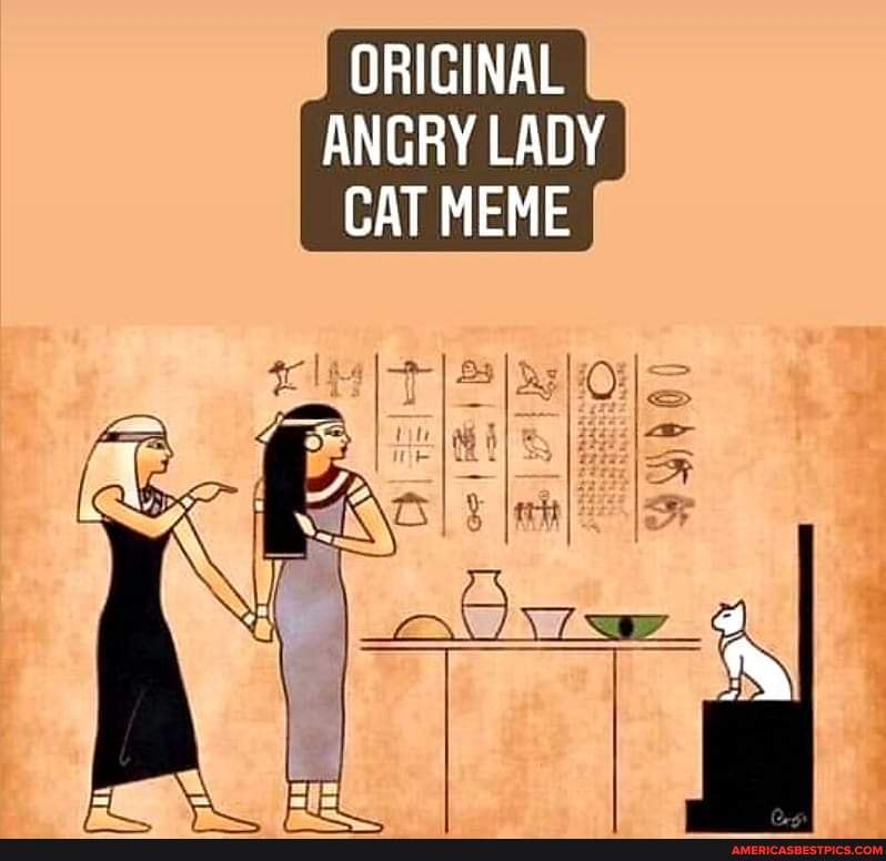 ORIGINAL ANGRY LADY CAT MEME - America’s best pics and videos