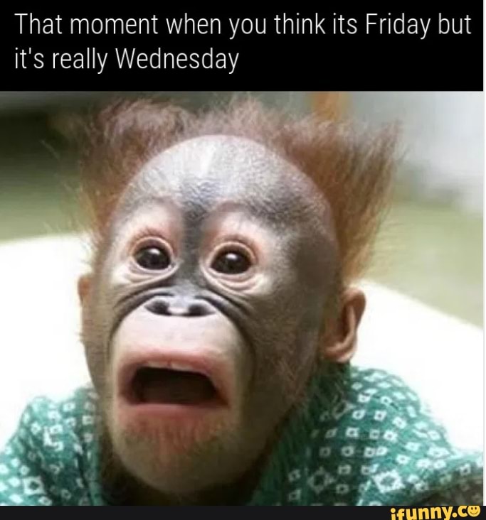 That moment when you think its Friday but it's really Wednesday - iFunny