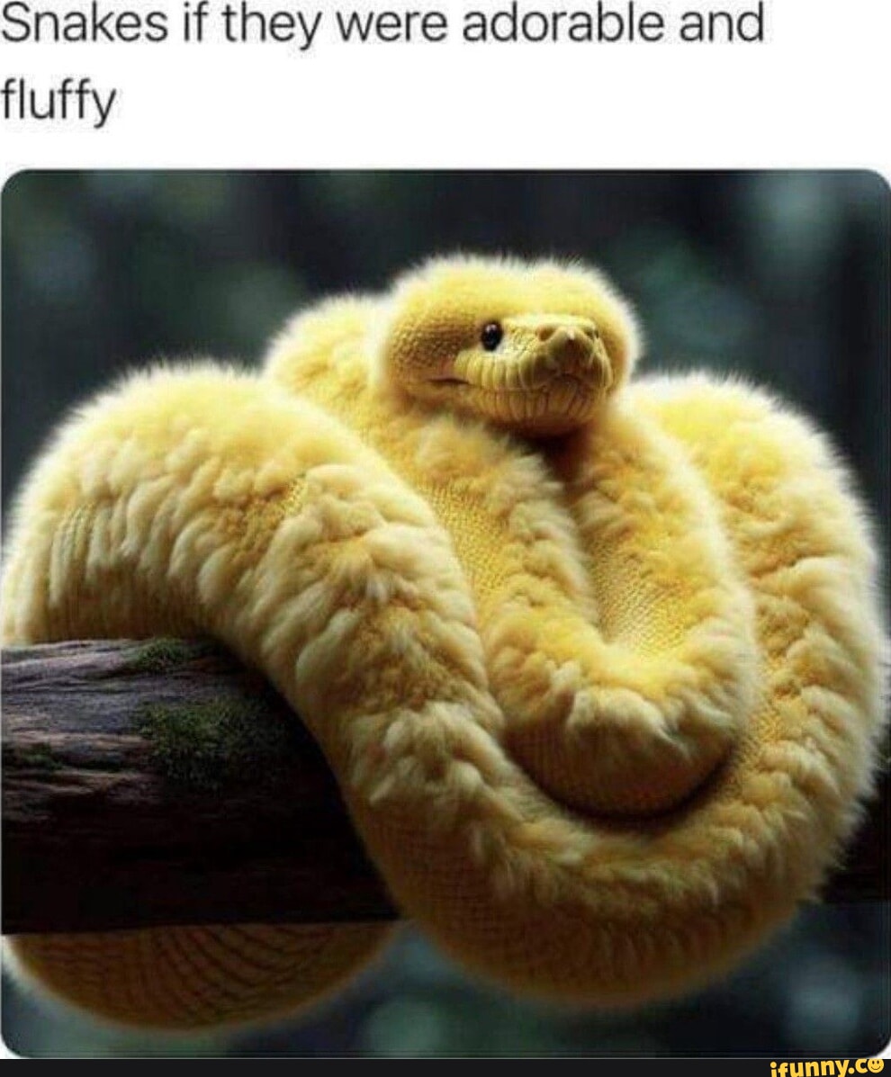 Snakes if they were adorable and fluffy - iFunny