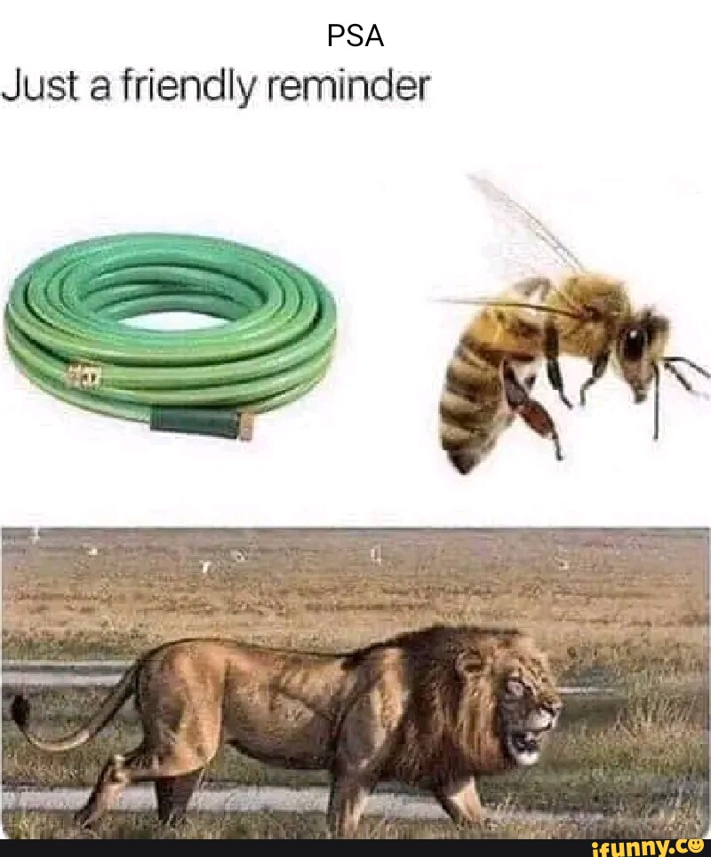 Psa memes. Best Collection of funny Psa pictures on iFunny