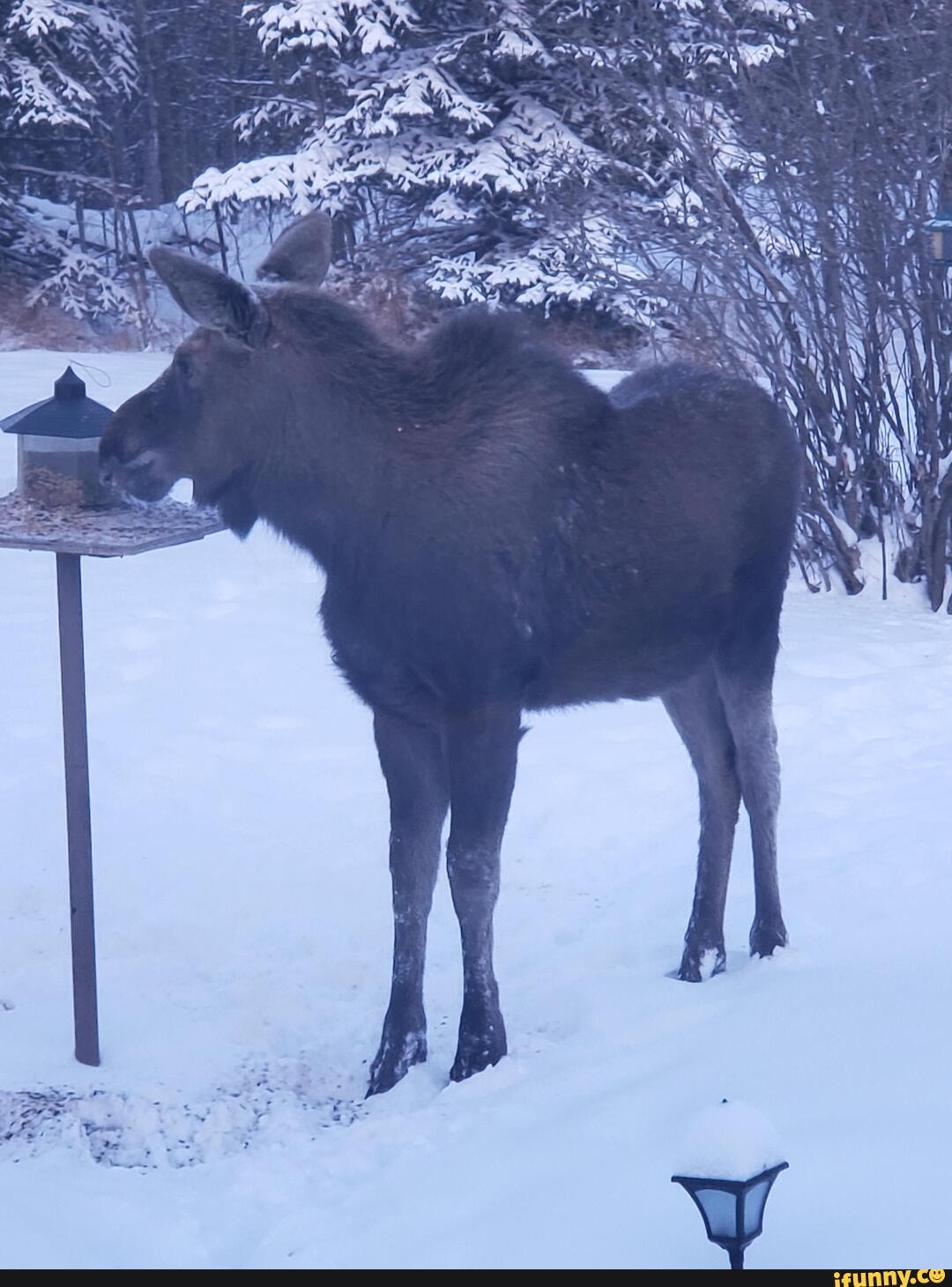 Happy_13th_birthday_imgur memes. Best Collection of funny Happy_13th ...