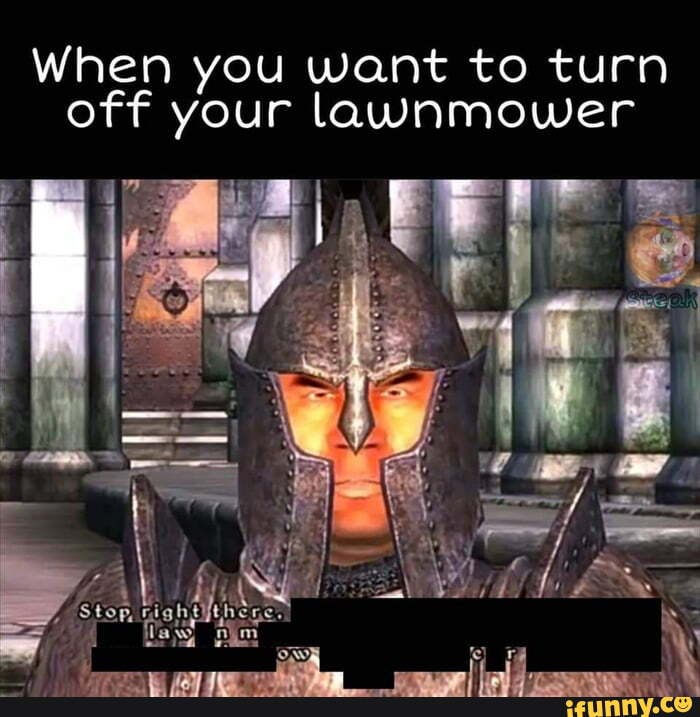 The_elder_scrolls_blades memes. Best Collection of funny The_elder ...