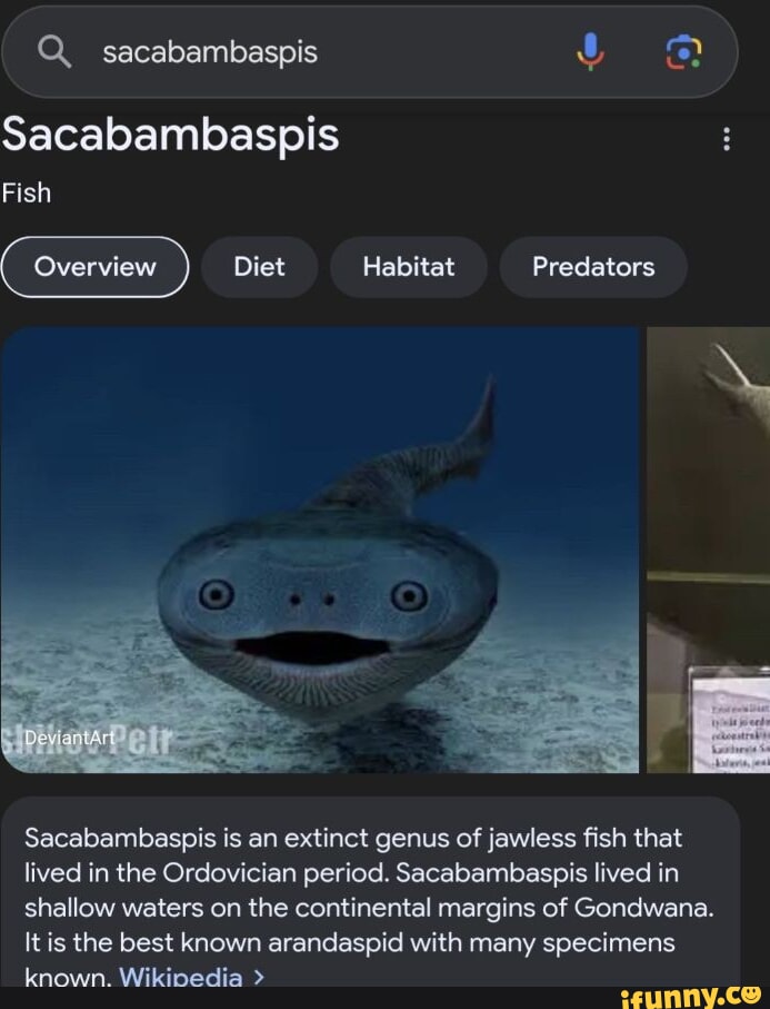 Sacabambaspis Sacabambaspis Fish Overview Diet Habitat Predators ...