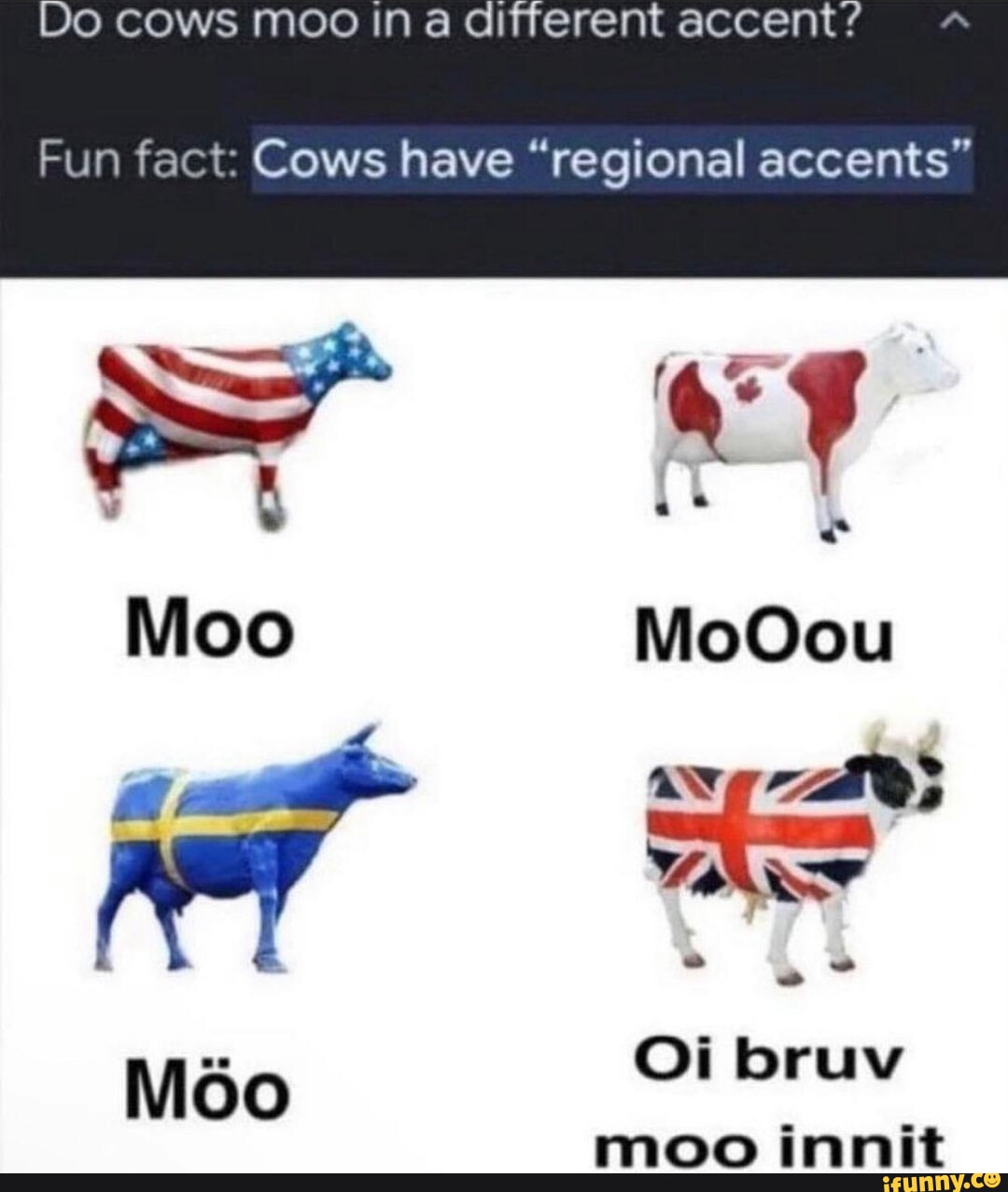 Do COWS MOO IN a different accent? Fun fact: Cows have "regional ...