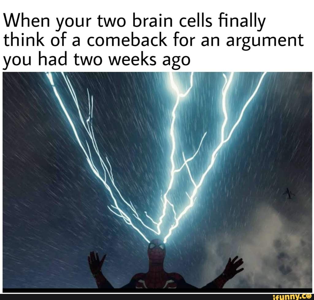 When your two brain cells ﬁnally think of a comeback for an argument ...