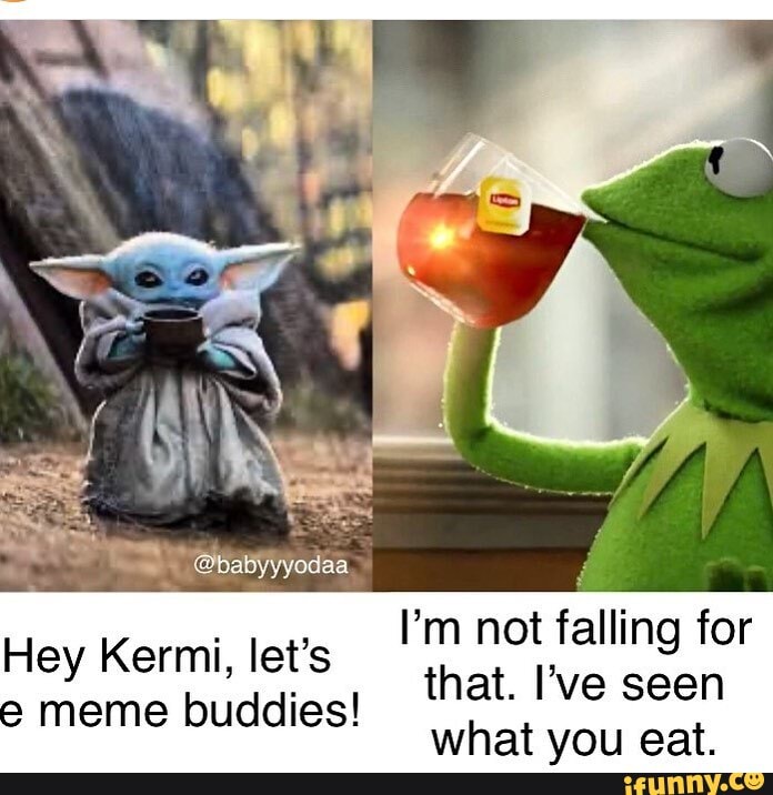 I'm not falling for that. I've seen Hey Kermi, let's e meme buddies ...
