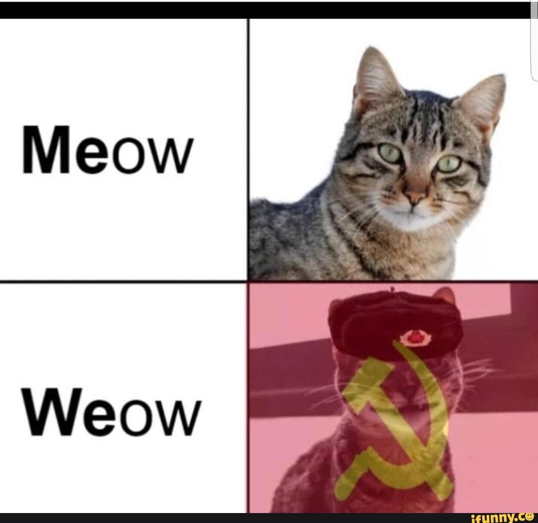 Weow memes. Best Collection of funny Weow pictures on iFunny