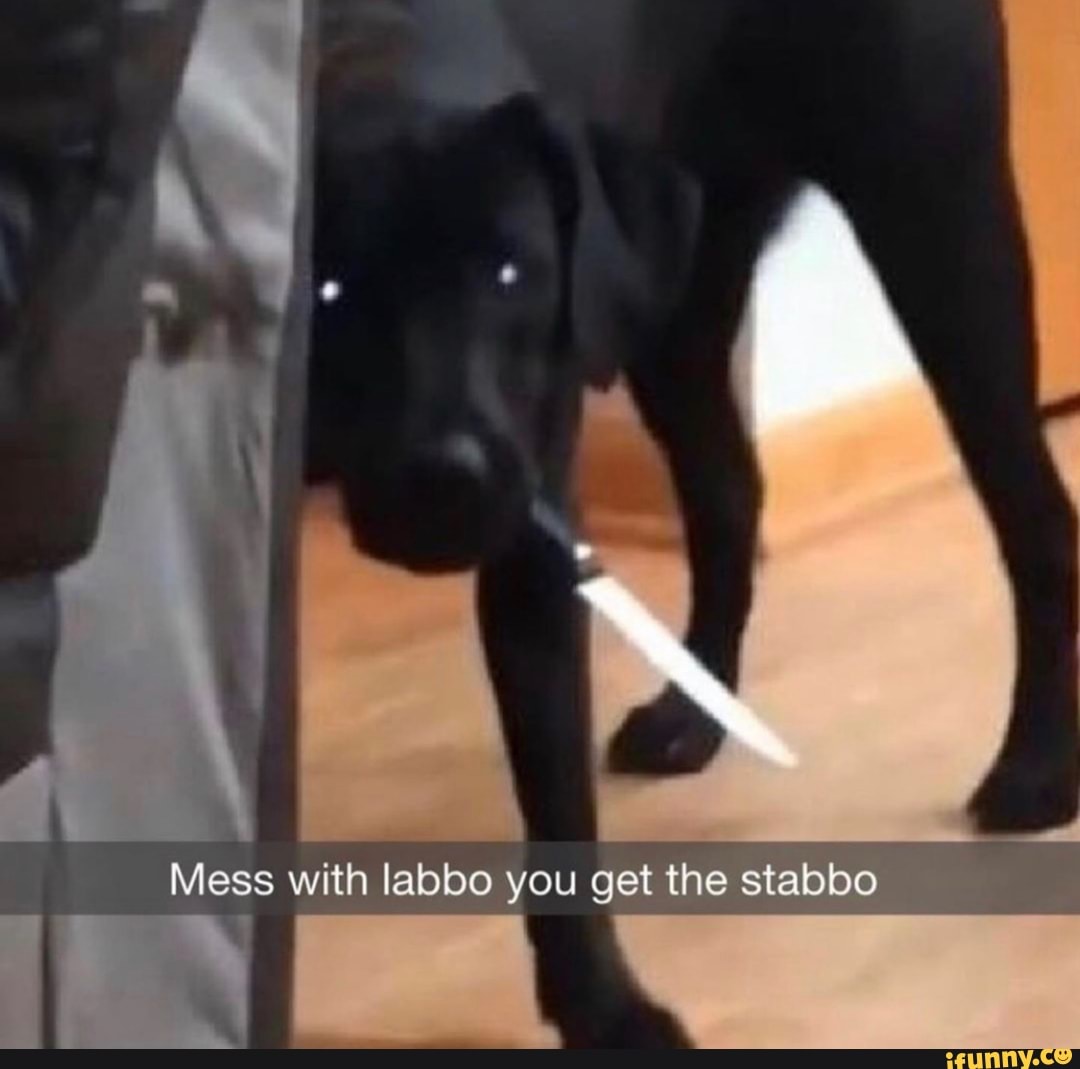 Mess with labbo you get th stabbo - iFunny