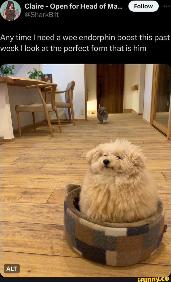 Open memes. Best Collection of funny Open pictures on iFunny