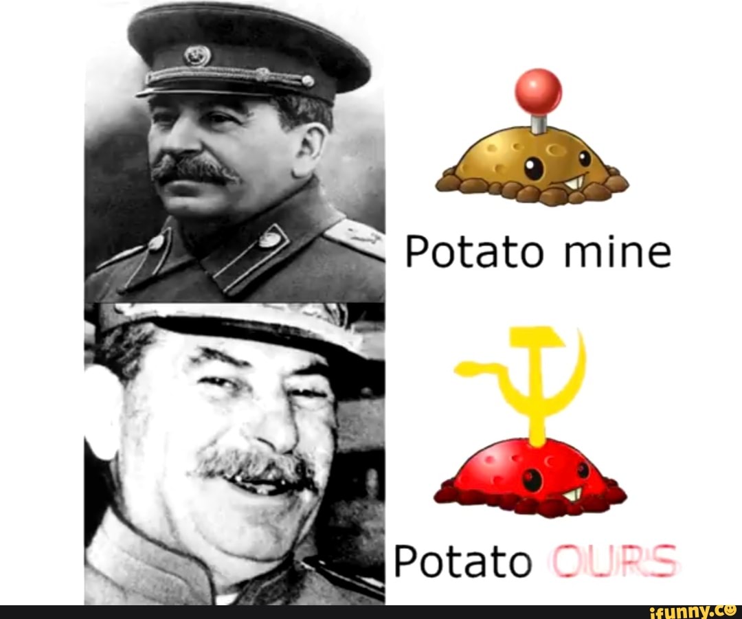 Plantsvzombies memes. Best Collection of funny Plantsvzombies pictures ...