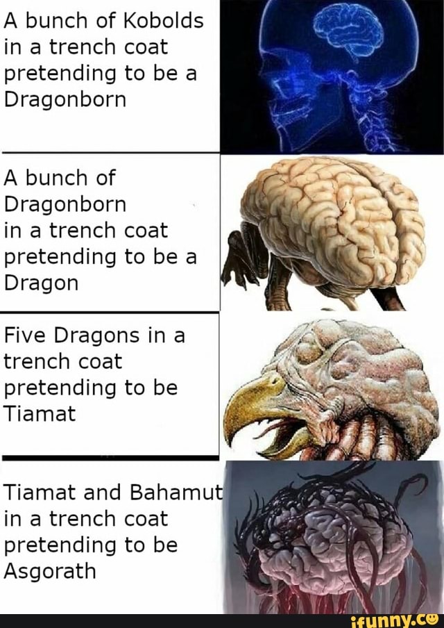 Kobolds memes. Best Collection of funny Kobolds pictures on iFunny