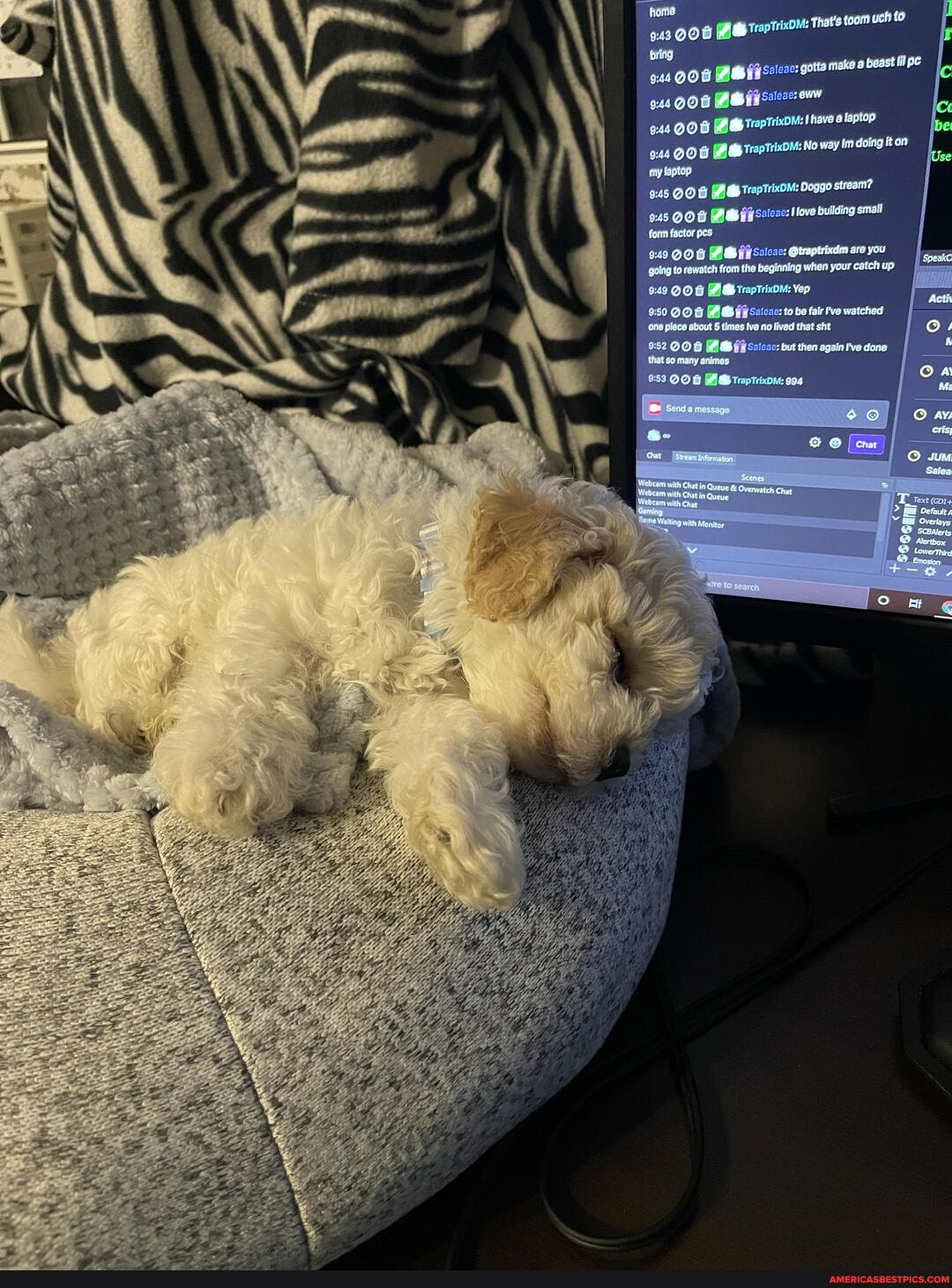 Faptop memes. Best Collection of funny Faptop pictures on America’s ...