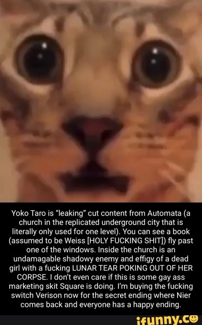 Weiss memes. Best Collection of funny Weiss pictures on iFunny