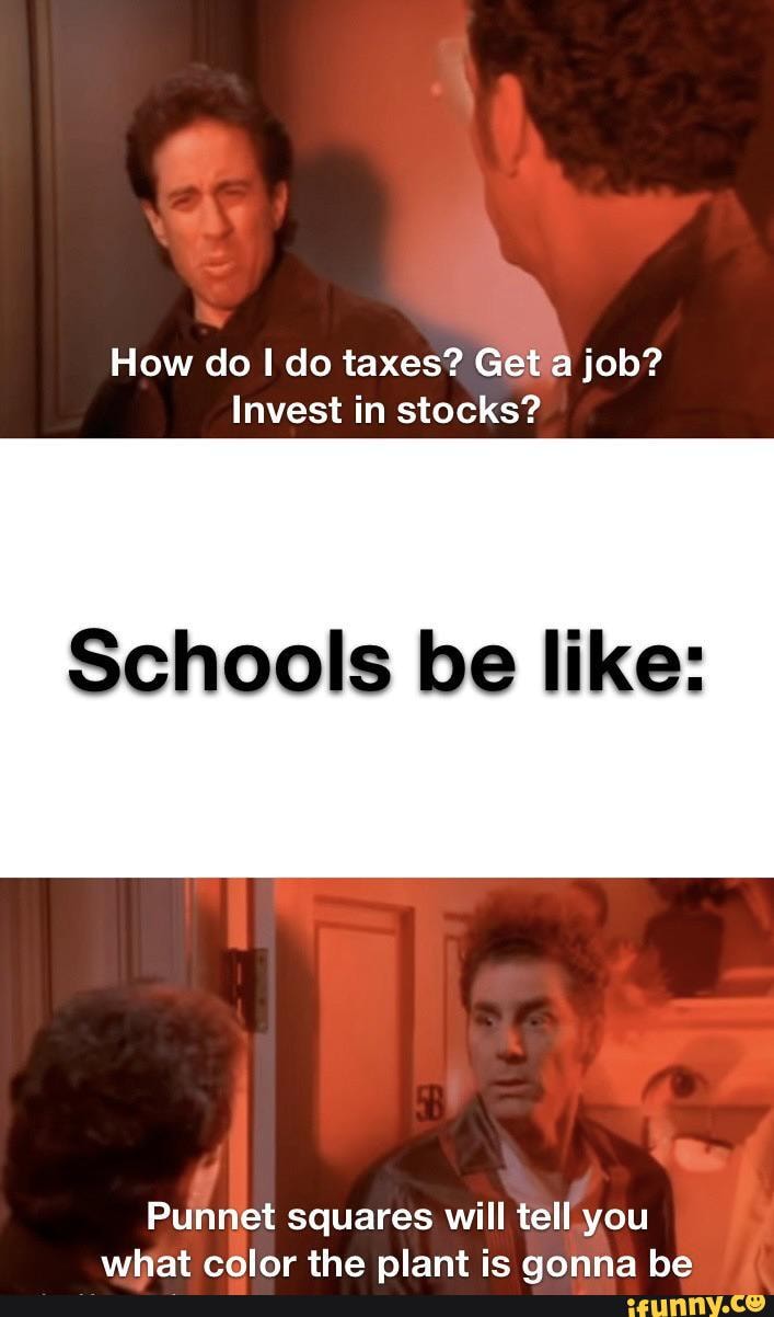 Punnet memes. Best Collection of funny Punnet pictures on iFunny