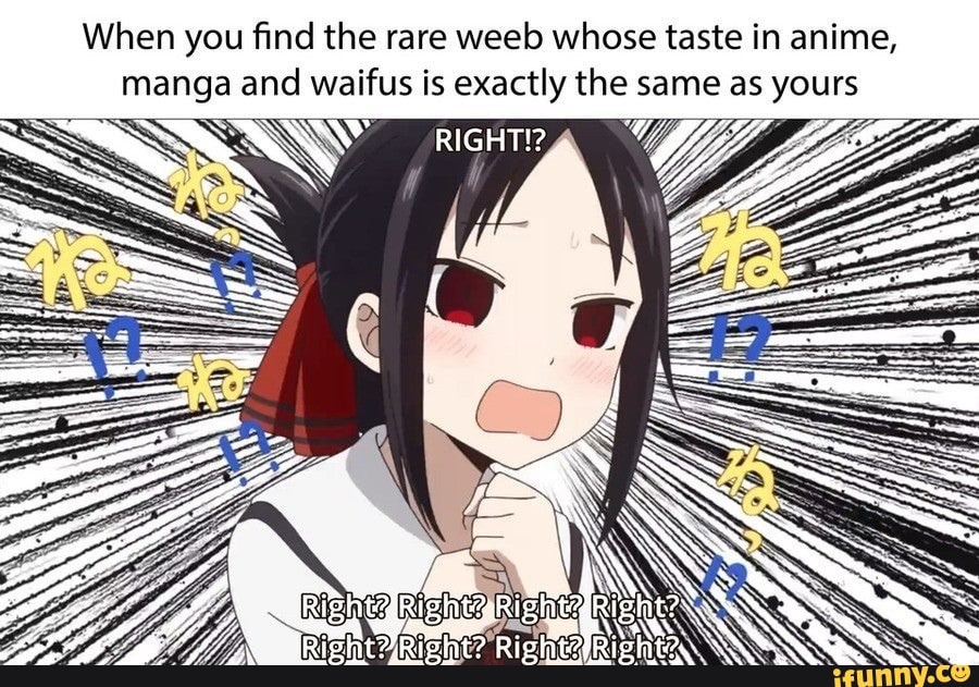 When you find the rare weeb whose taste in anime, manga and waifus is ...