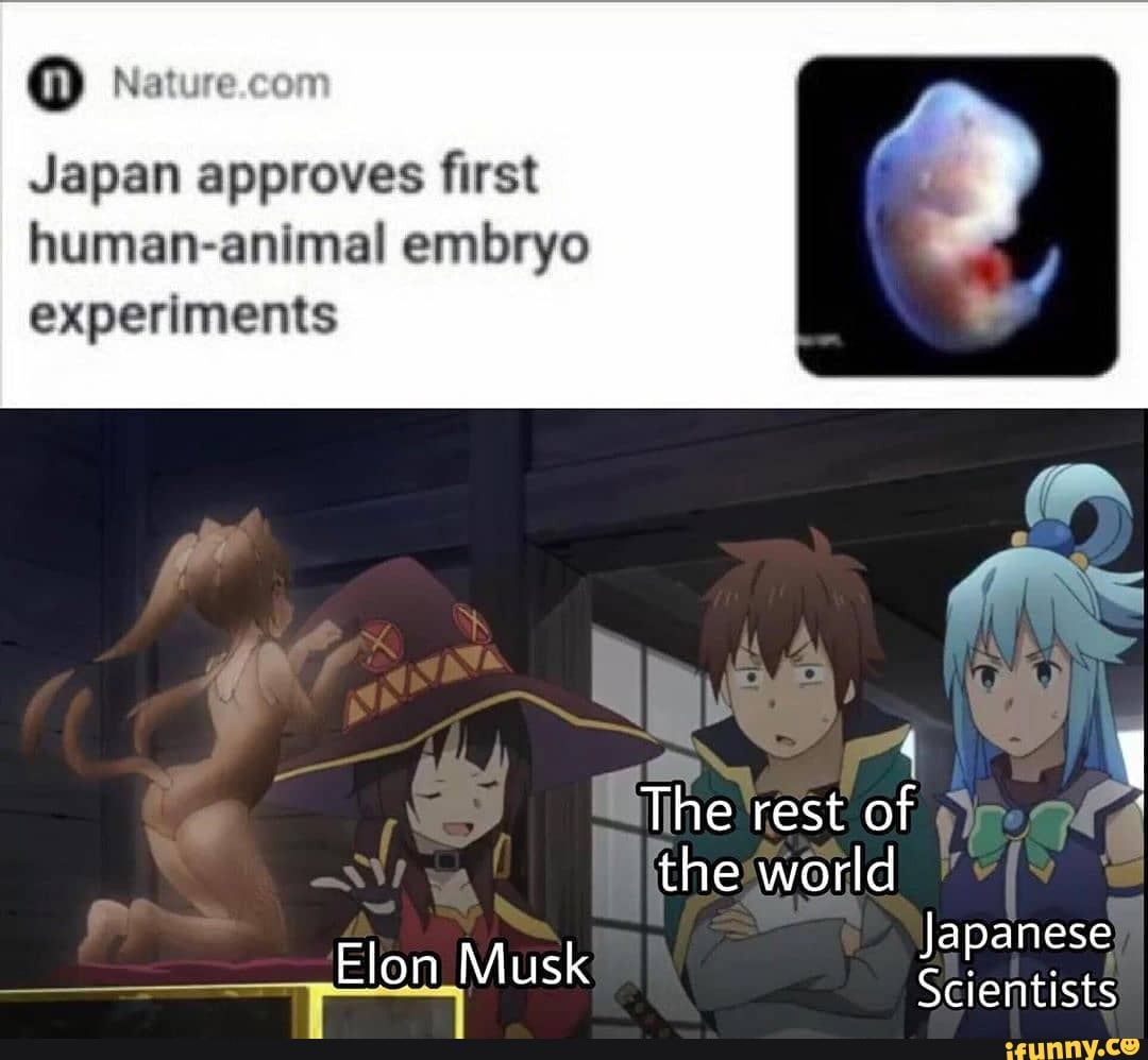 Japan approves first human-animal embryo experiments : ' thesworld ...