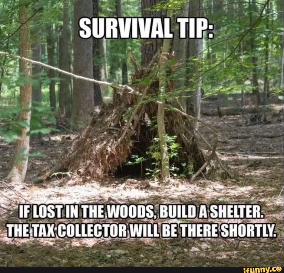 SURVIVAL TIP: IF LOST IN THE WOODS, BUILD A SHELTER. THE TAX GOLLECTOR ...
