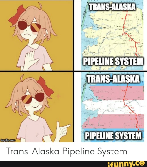 Transalaskapipelinesystem memes. Best Collection of funny ...
