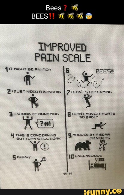 Bees? BEES!! IMPROVED PAIN SCALE BEESM ZisustNceomeAnomio II cAnt stor ...