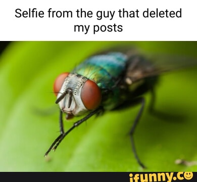 Buggin memes. Best Collection of funny Buggin pictures on iFunny