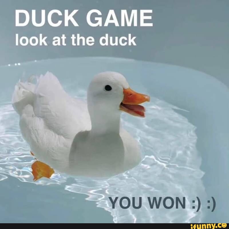 DUCK GAME look at the duck YOU WON - iFunny