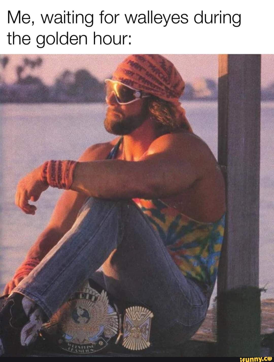 Walleyes memes. Best Collection of funny Walleyes pictures on iFunny