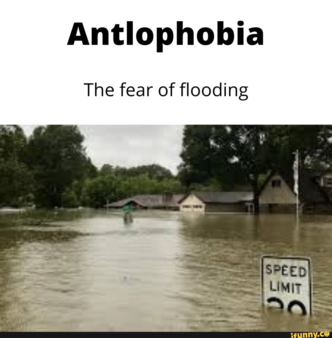 Phobias memes. Best Collection of funny Phobias pictures on iFunny