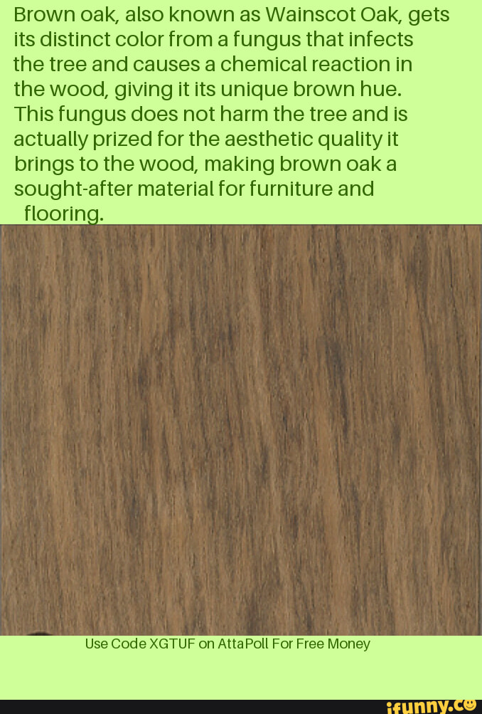 Brown oak, also known as Wainscot Oak, gets its distinct color from a ...