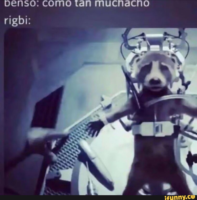 Denso memes. Best Collection of funny Denso pictures on iFunny