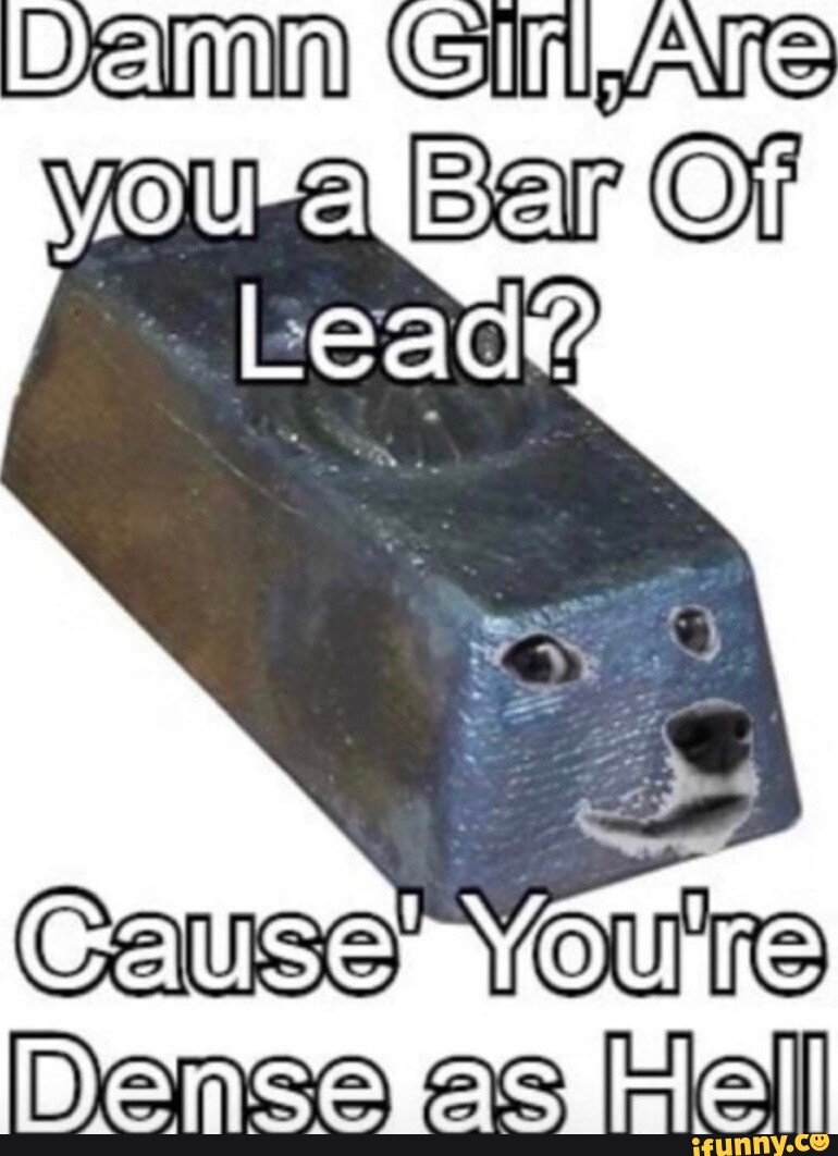 Bar Cause' You're Dense EFlelll - iFunny