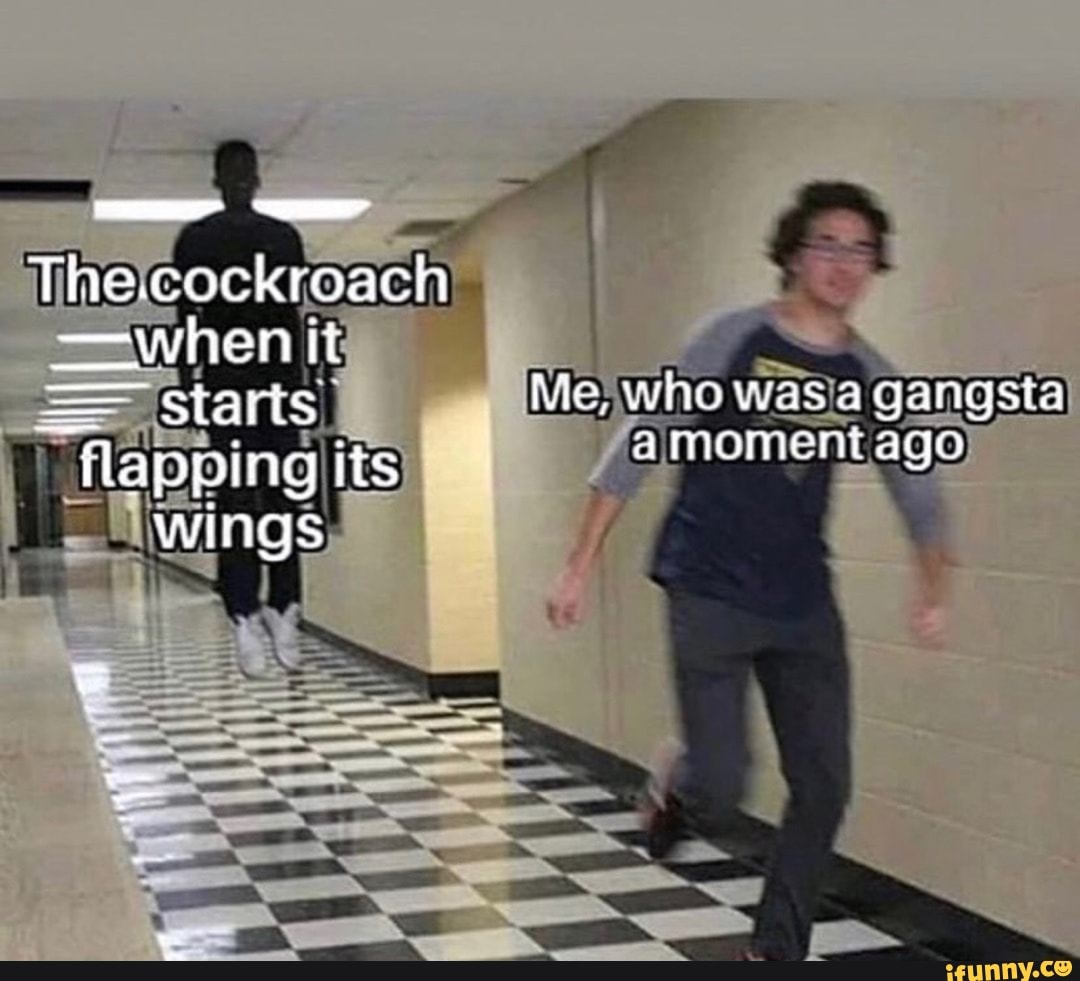 Flapping memes. Best Collection of funny Flapping pictures on iFunny