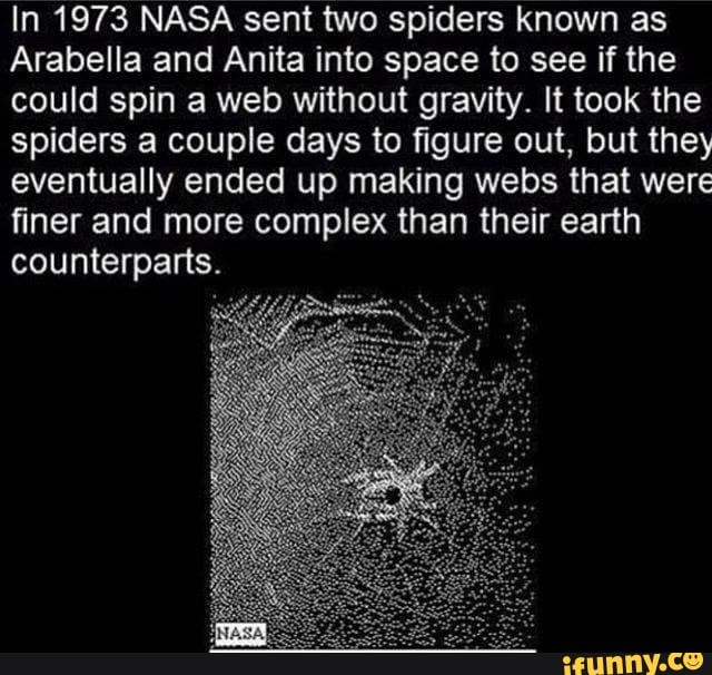 In 1973 NASA sent two spiders known as Arabella and Anita into space to ...