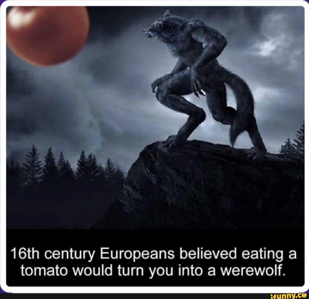 16th century Europeans believed eating a tomato would turn you into a ...